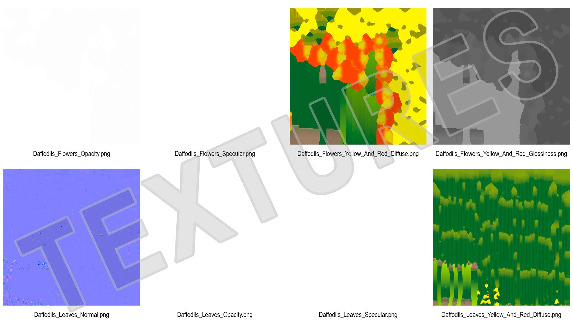 Growing Yellow Daffodils 3D Model - TurboSquid 2088873