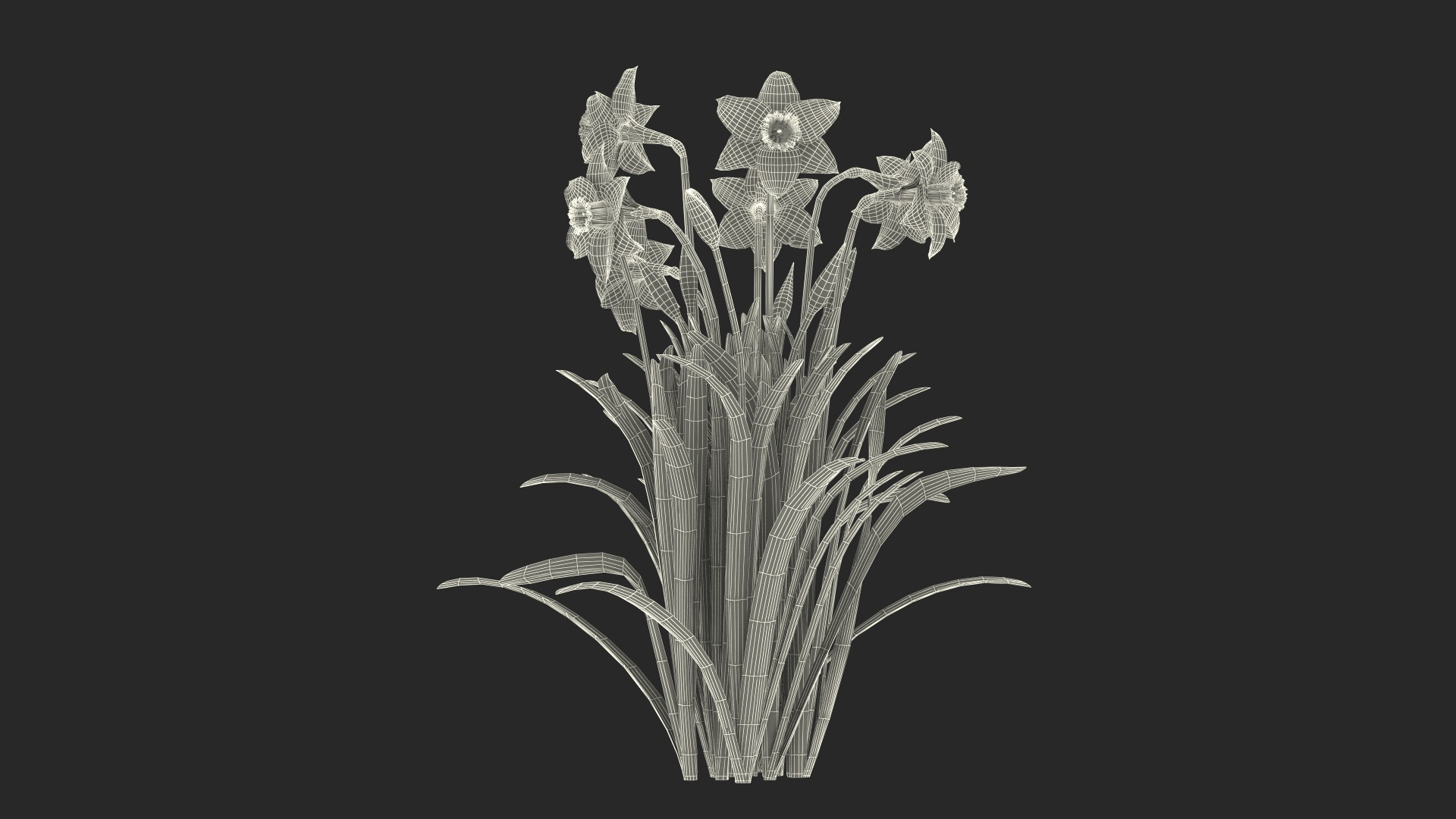 Growing Yellow Daffodils 3D Model - TurboSquid 2088873