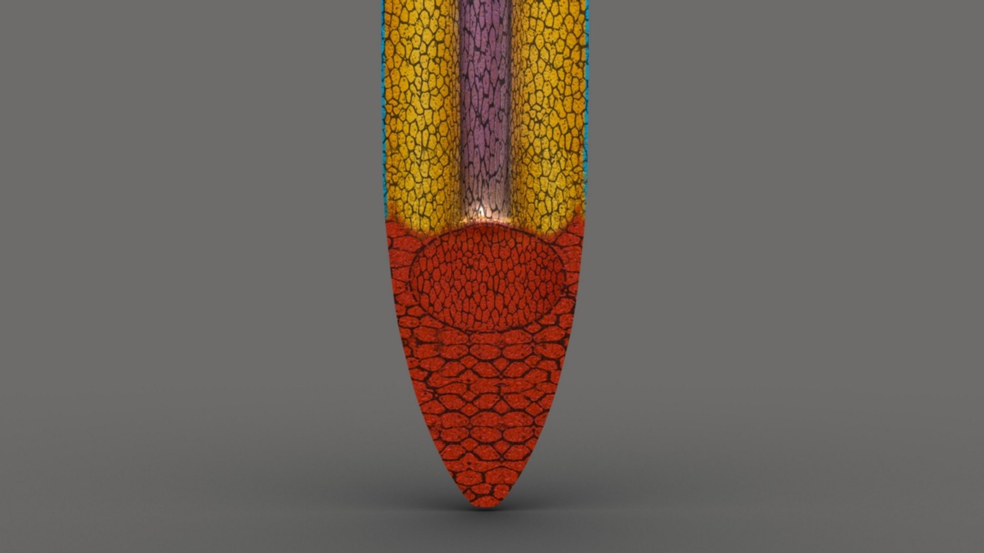 Root Tip Model - TurboSquid 1261533