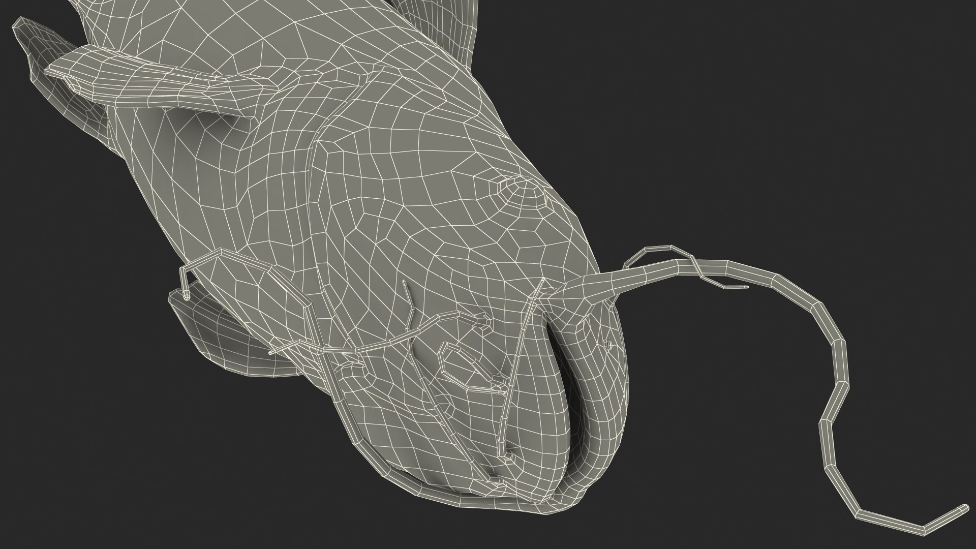 3D Channel Catfish Laying On Side Model - TurboSquid 1830822