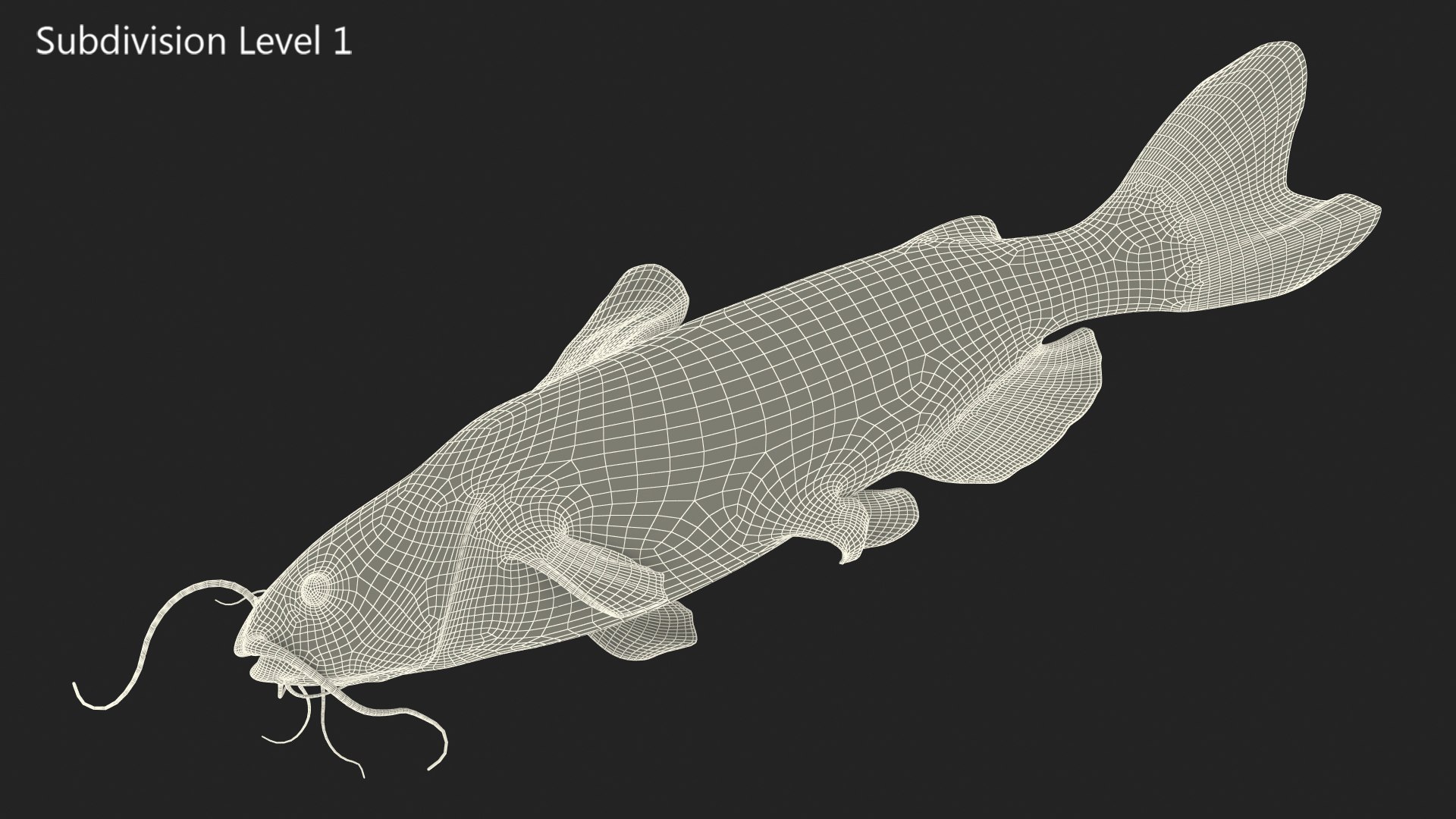3D Channel Catfish Laying On Side Model - TurboSquid 1830822