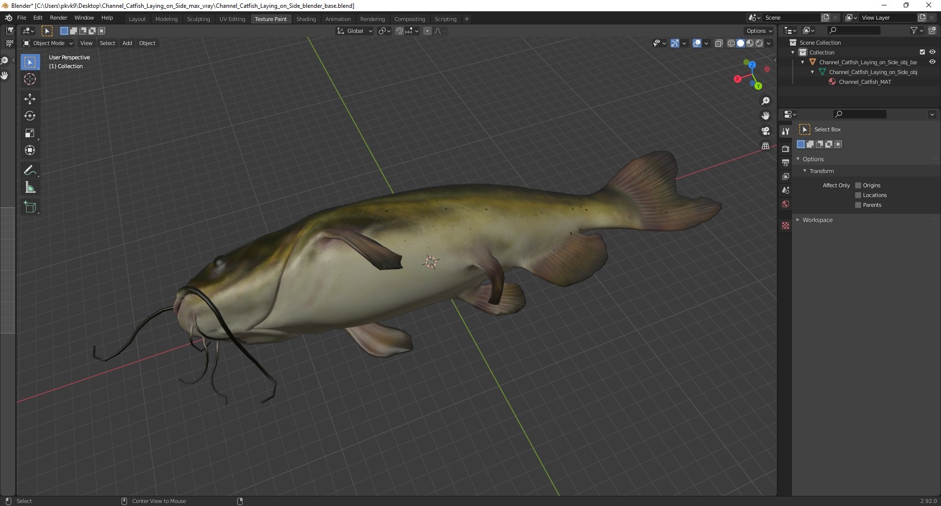 3D Channel Catfish Laying On Side Model - TurboSquid 1830822