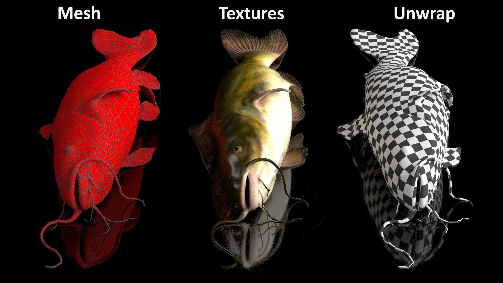 3D Channel Catfish Laying On Side Model - TurboSquid 1830822