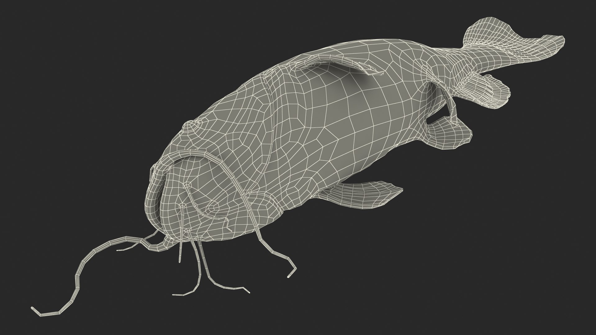 3D Channel Catfish Laying On Side Model - TurboSquid 1830822
