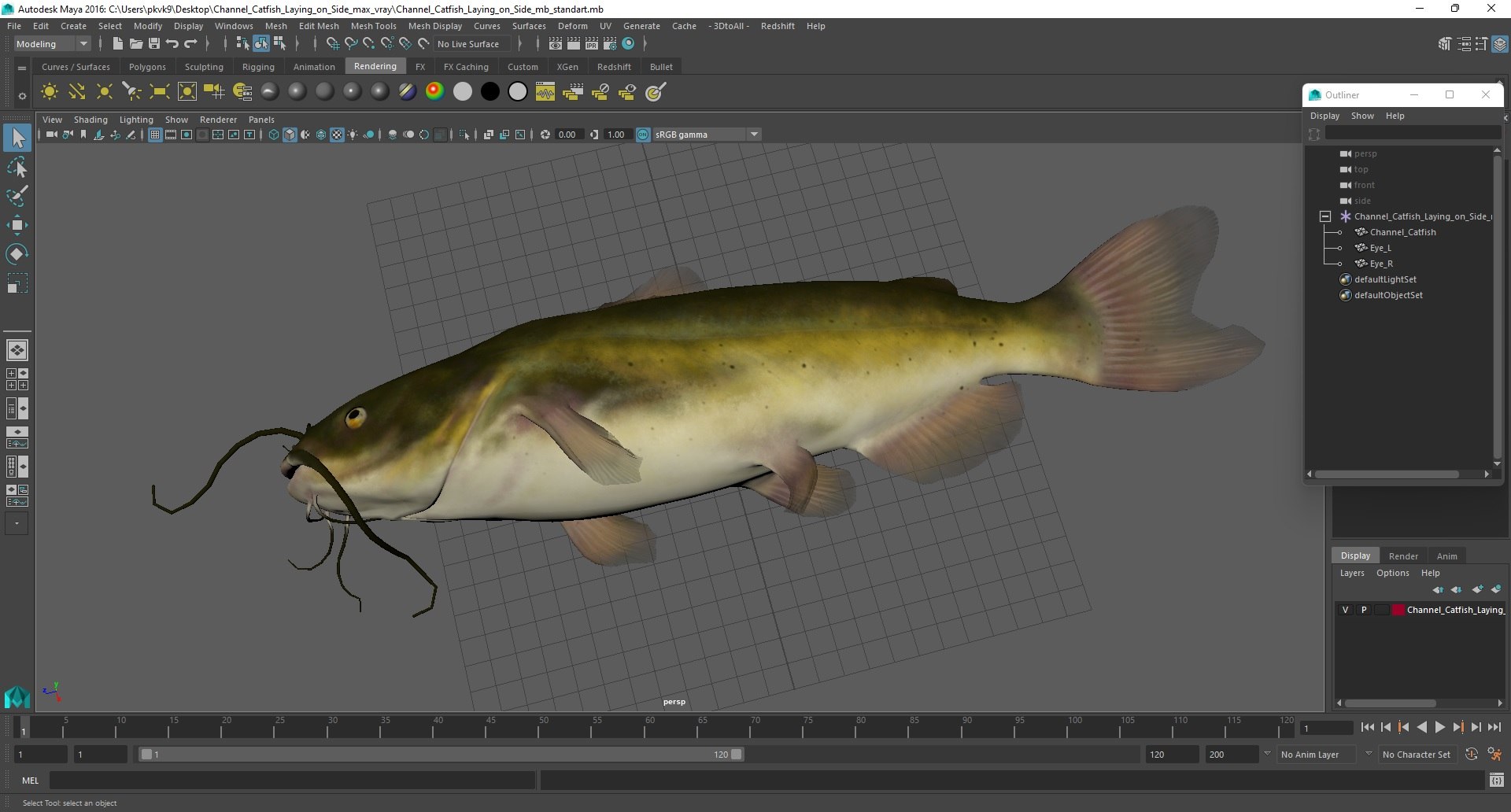 3D Channel Catfish Laying On Side Model - TurboSquid 1830822