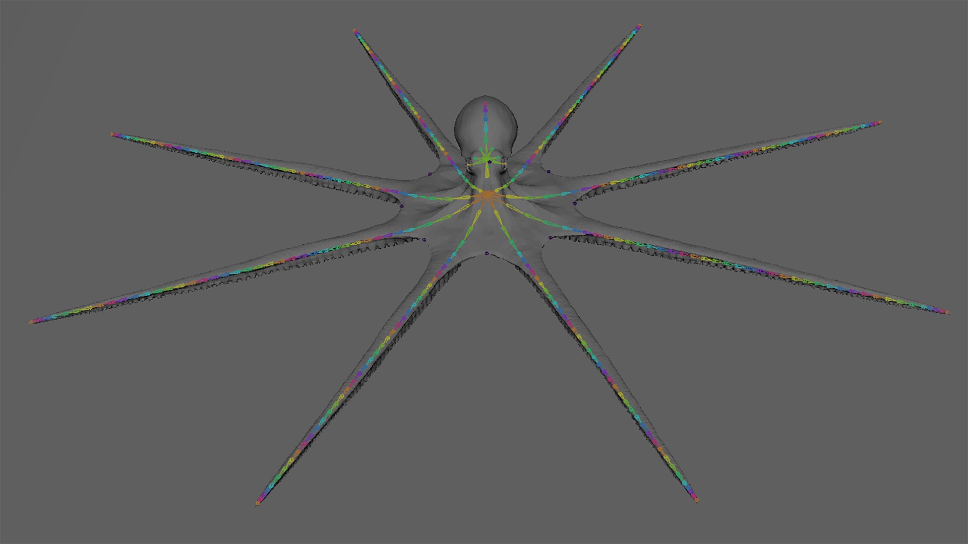 3D Octopus Multicolor Rigged Animated - TurboSquid 1750108