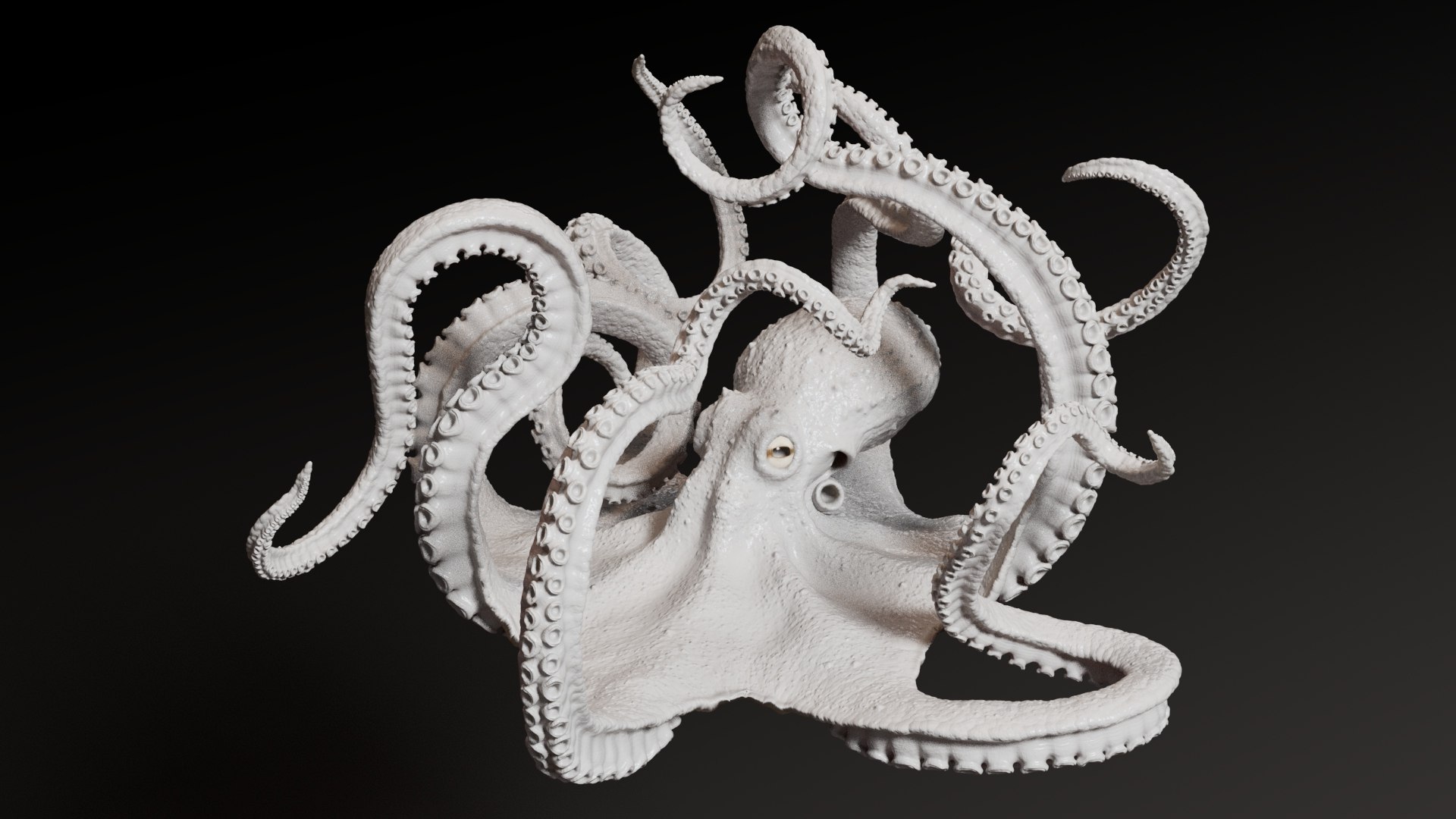 3D Octopus Multicolor Rigged Animated - TurboSquid 1750108