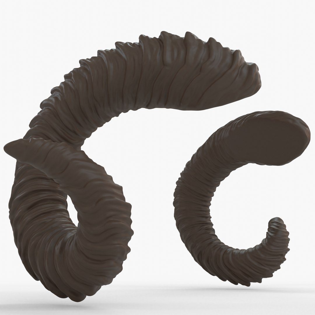 3D Large Curled Horns - Cadence - TurboSquid 1793217