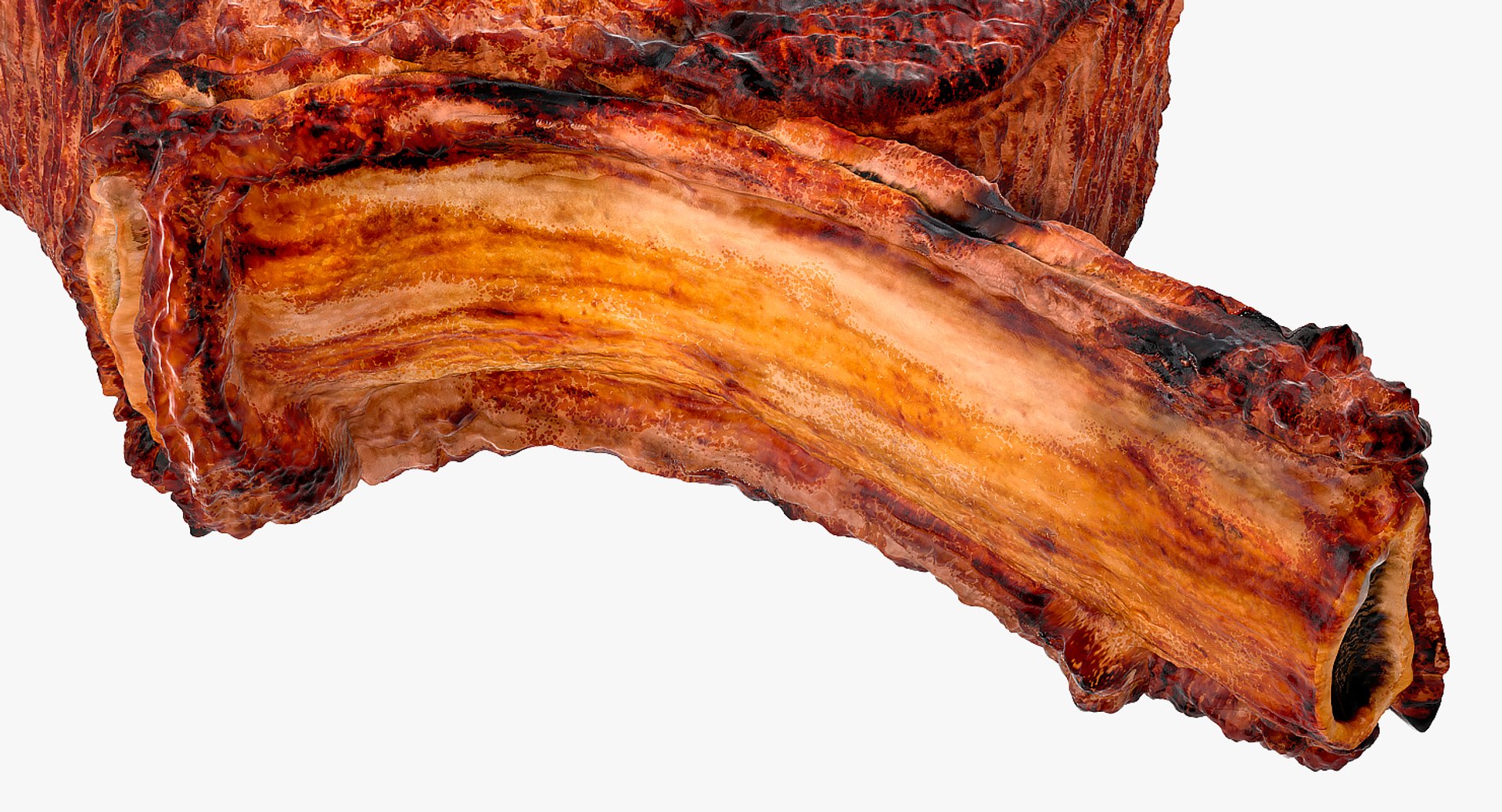 Bbq long bone ribeye model - TurboSquid 1408773