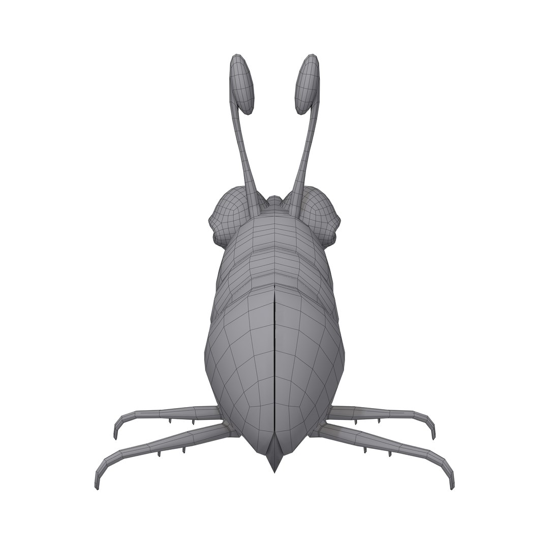 3D Model Bug Cartoon - TurboSquid 1629581