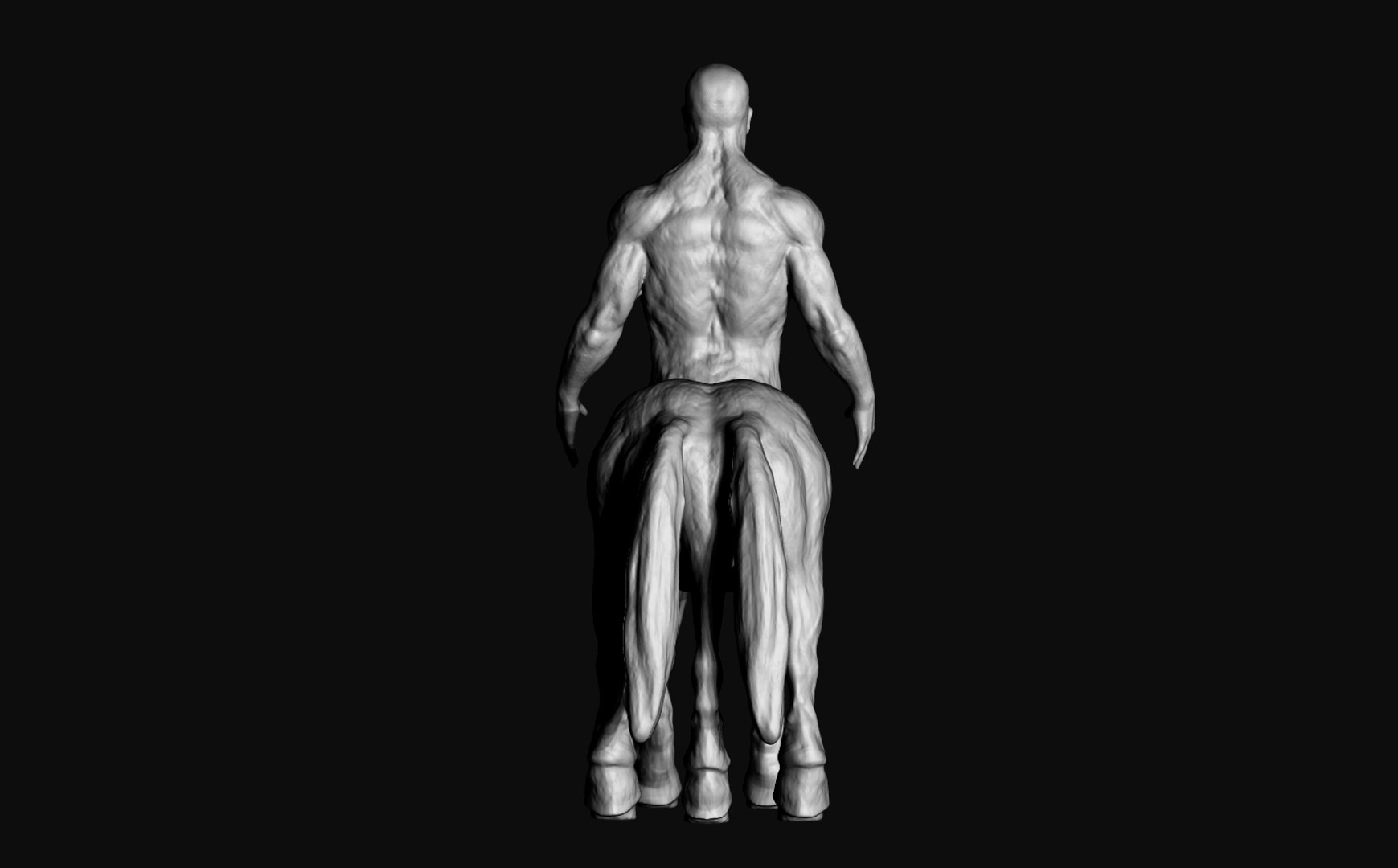 horse human 3d model