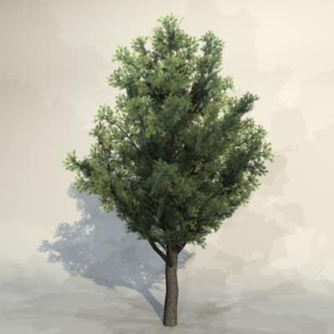 Pc Tree 3d Model