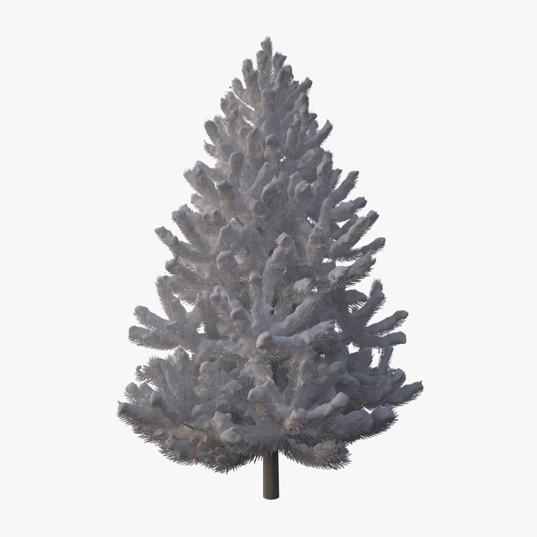 3d Model Of Snowy Pine Tree