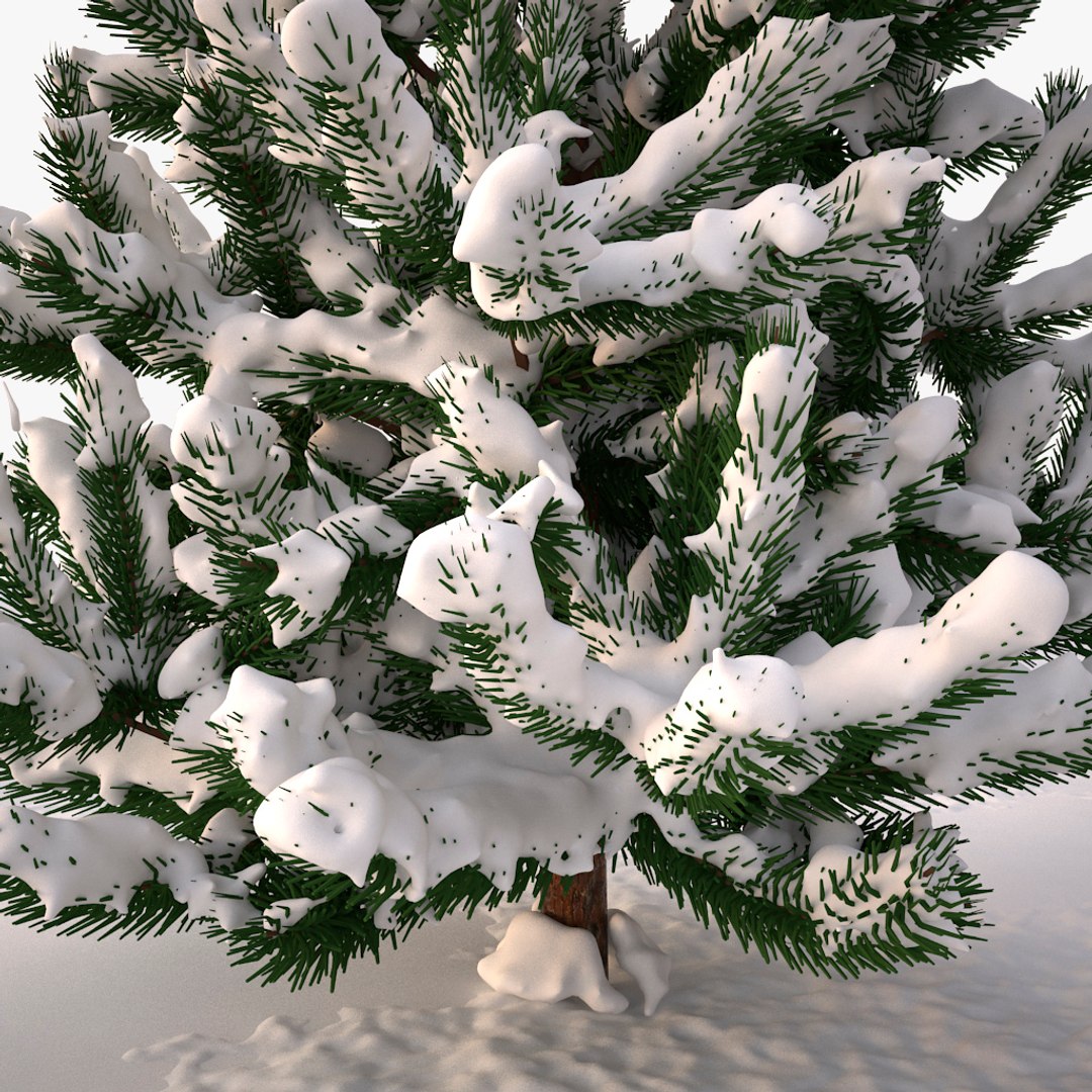3d Model Of Snowy Pine Tree