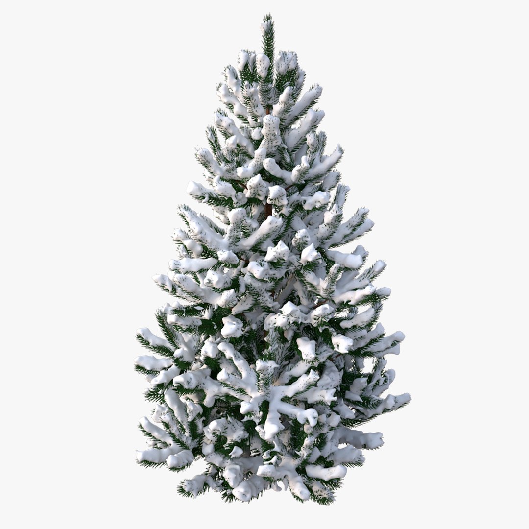 3d Model Of Snowy Pine Tree
