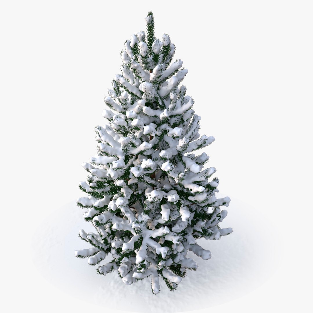 3d Model Of Snowy Pine Tree