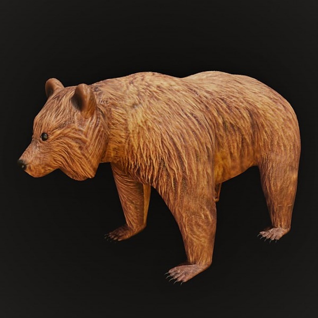 3D Bear Nature - TurboSquid 1653937