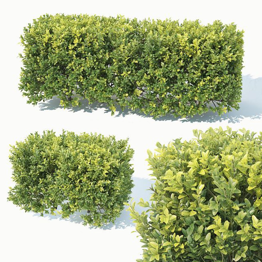 Modular Hedges 3D Model - TurboSquid 1333052