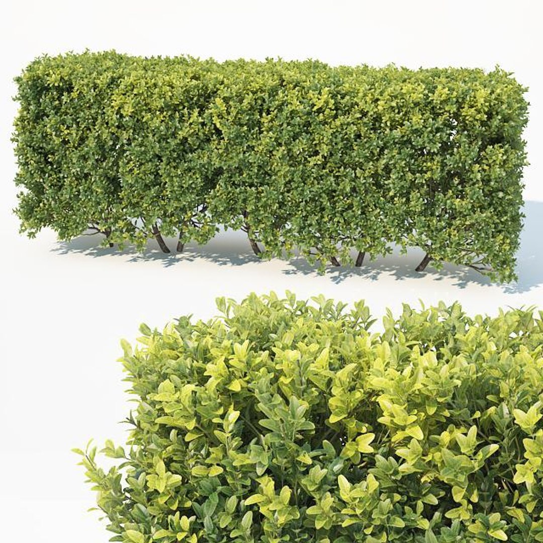Modular Hedges 3D Model - TurboSquid 1333052