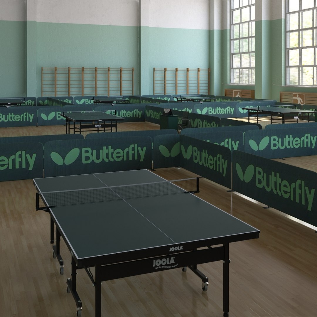 Table Tennis Arena 23D模型 - TurboSquid 2011725