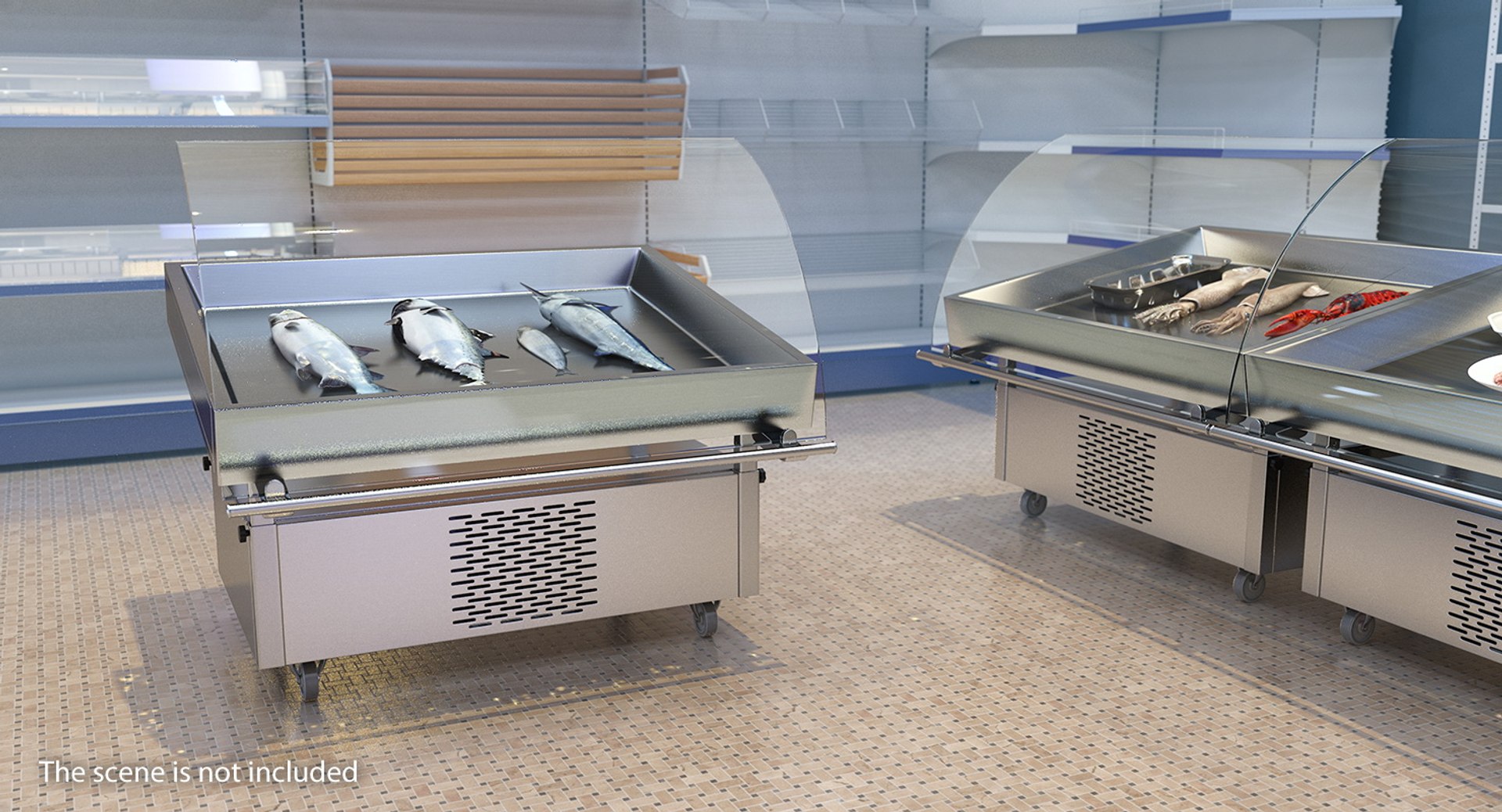 Stainless Steel Fish Display 3D Model - TurboSquid 1407012