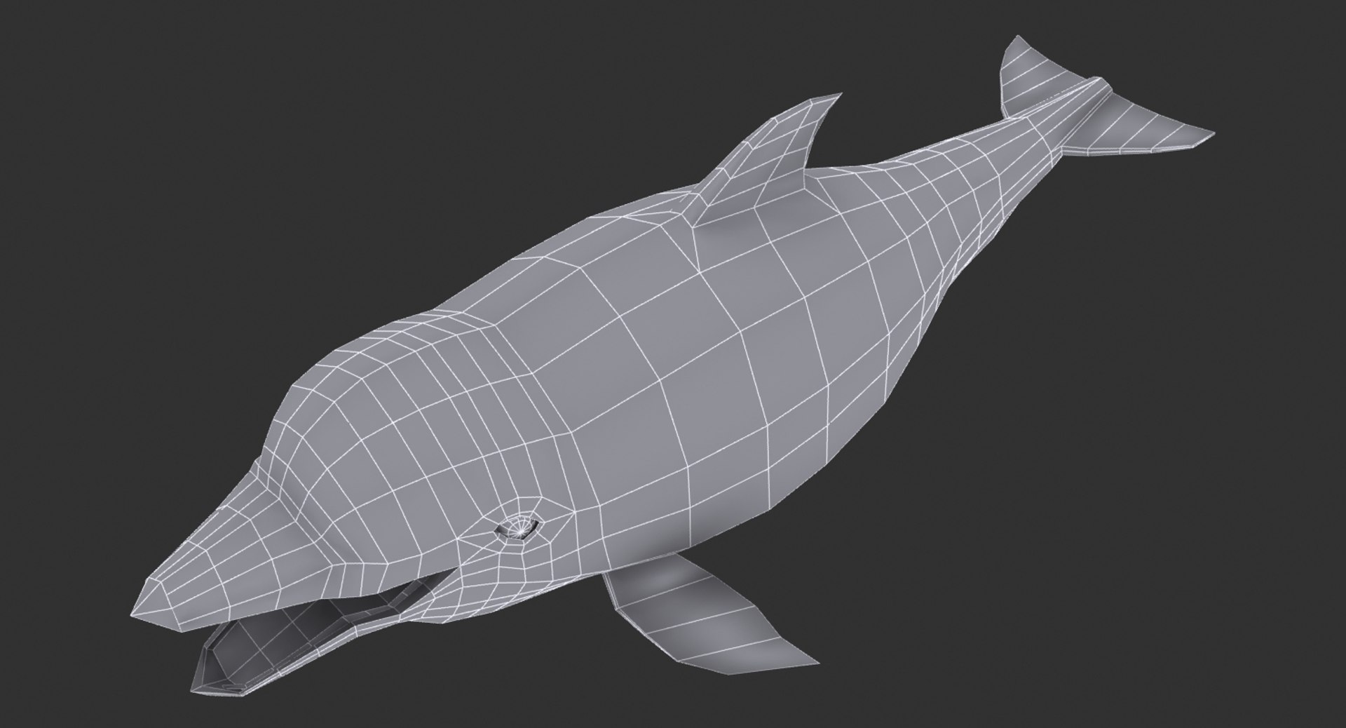 Dolphin Rigged Animate Obj