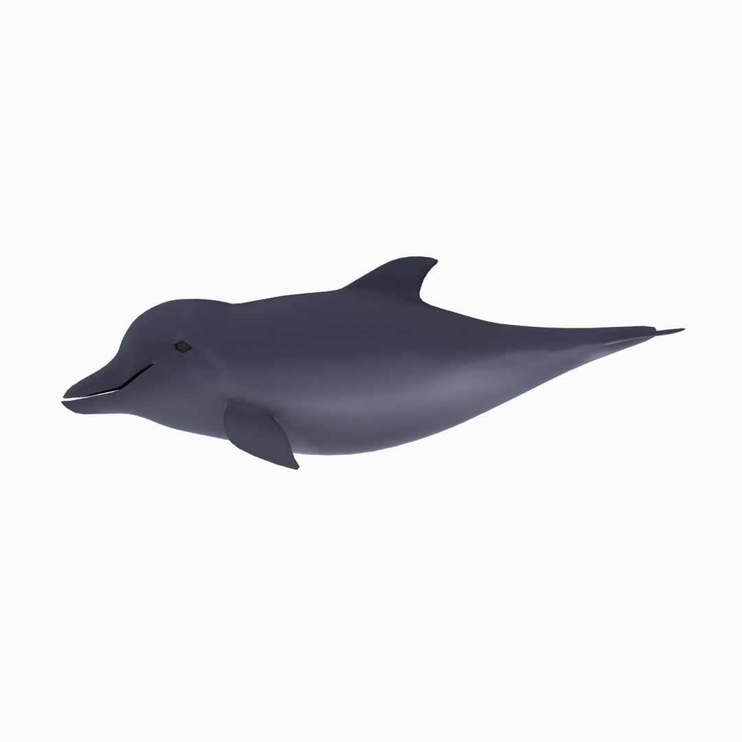 Dolphin Rigged Animate Obj
