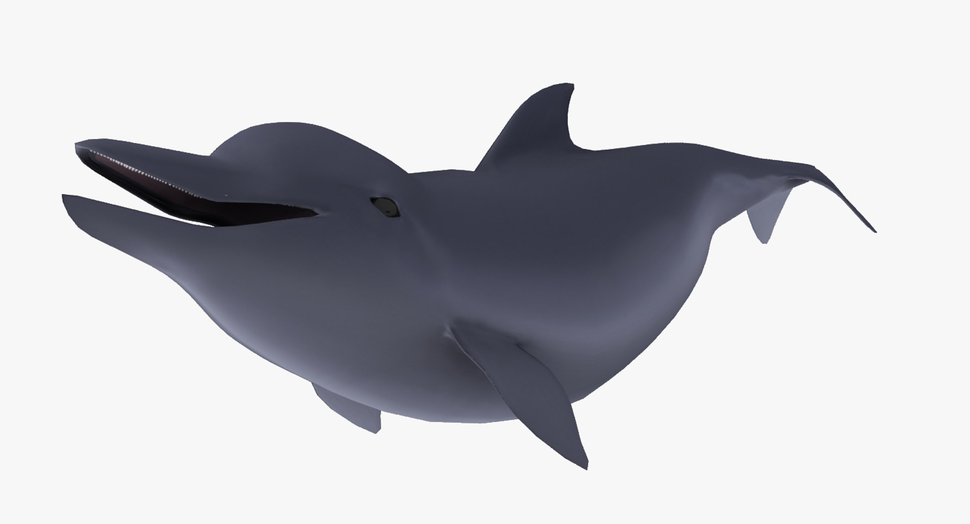 Dolphin Rigged Animate Obj