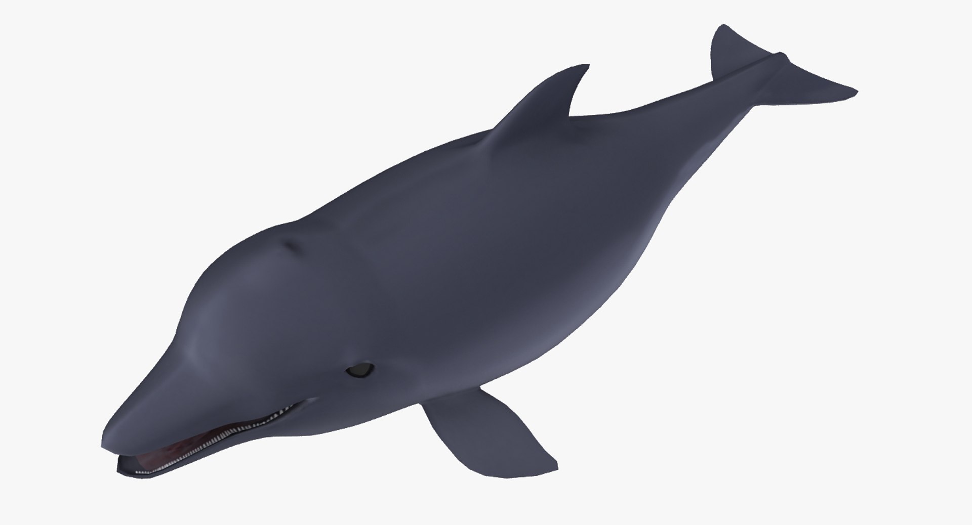 Dolphin Rigged Animate Obj