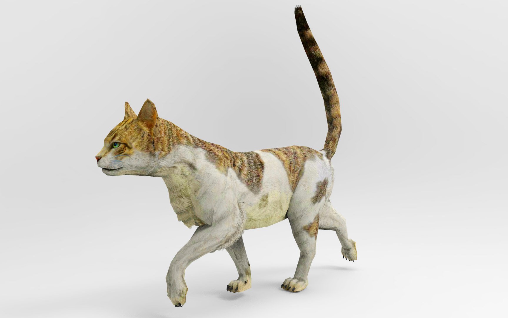 Cat 06 Animations3Dモデル - TurboSquid 1894285