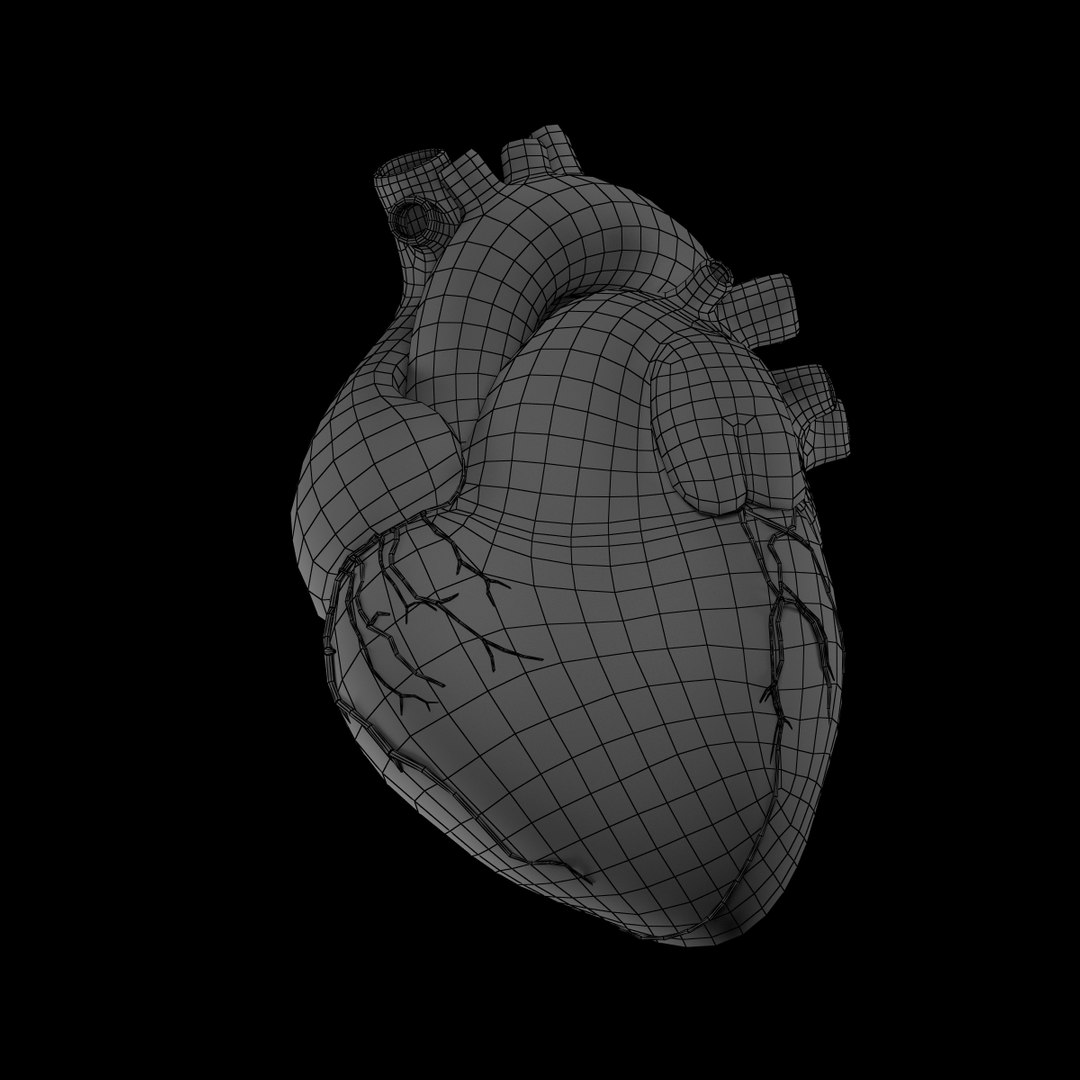 human heart 3d 3ds