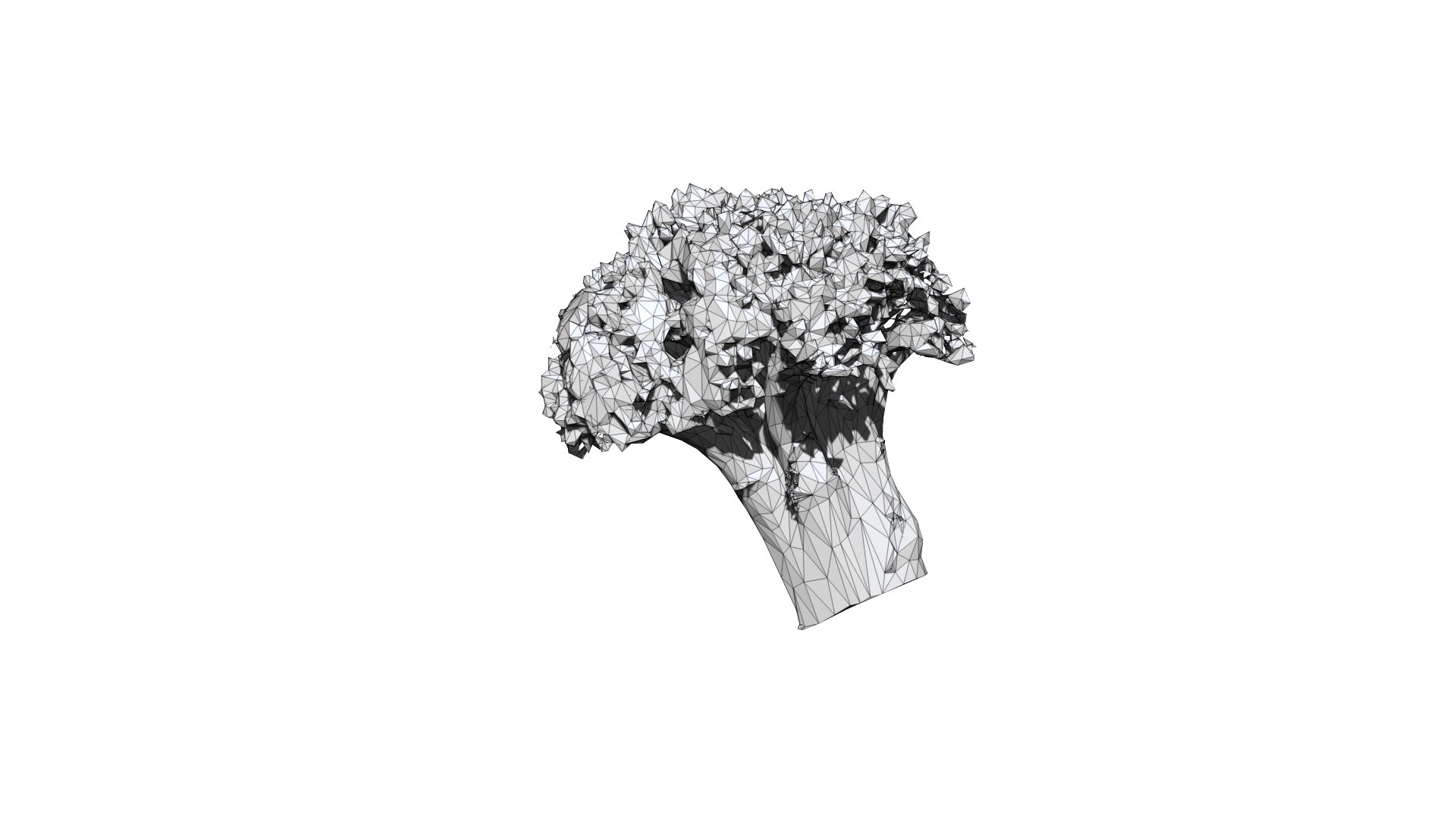 Broccoli Cut 3D CT Scan Model 4 Decimate 10percent 3D Model ...