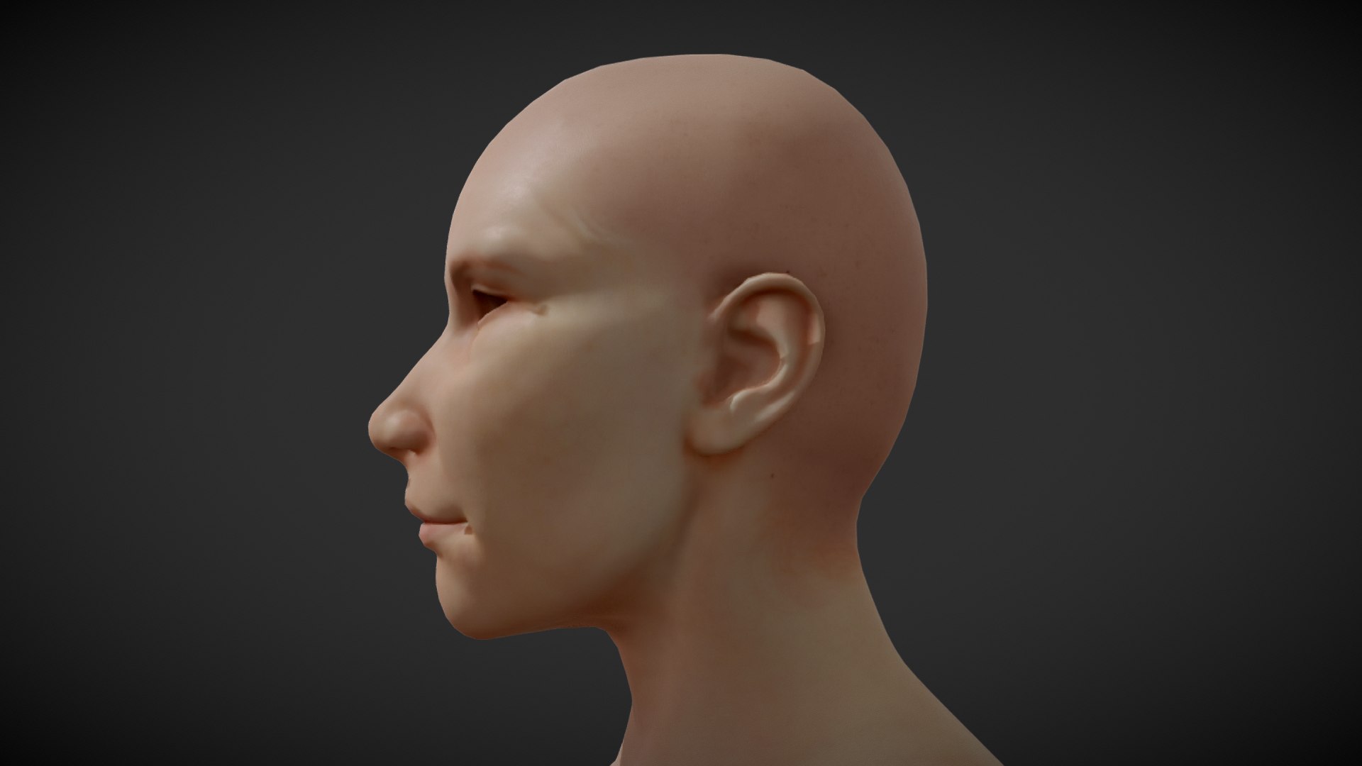 3D Fit Female Anatomy - Head Base Mesh - TurboSquid 1853886