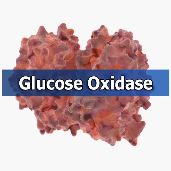 modèle 3D de Glucose oxydase - TurboSquid 610982
