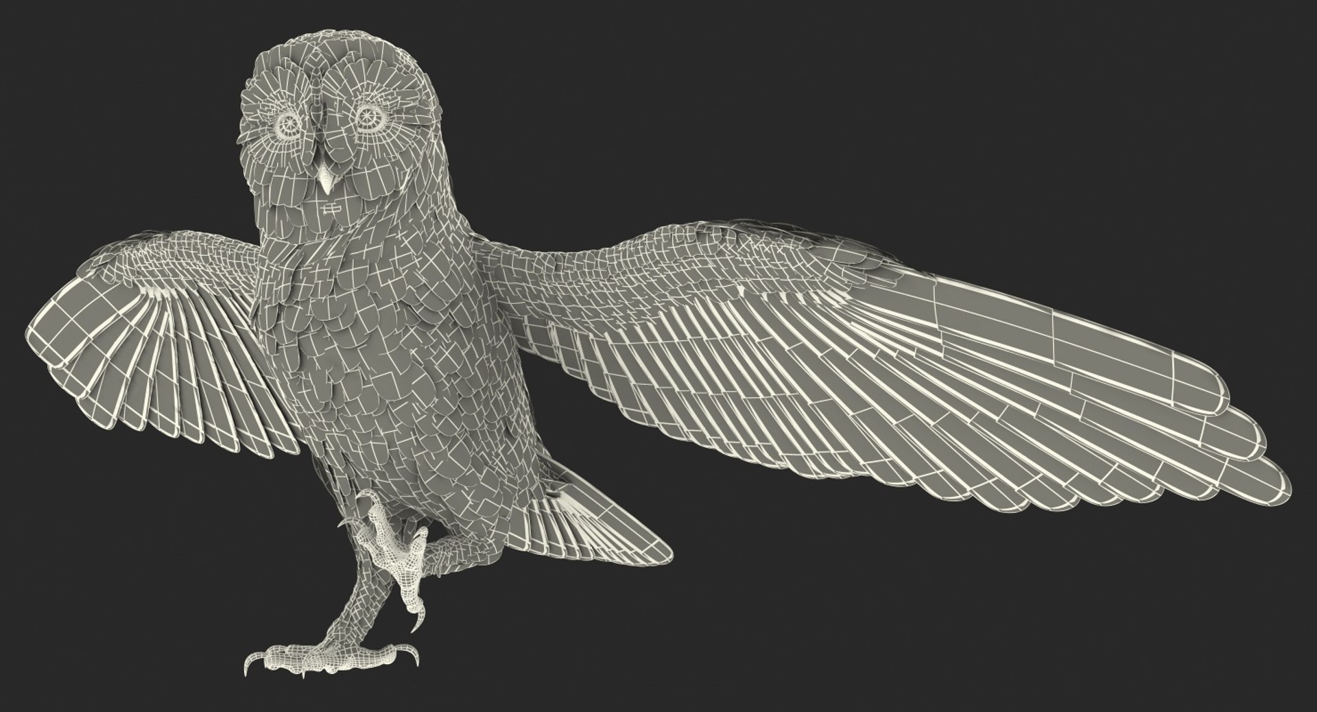Barn owl rigged model - TurboSquid 1432231