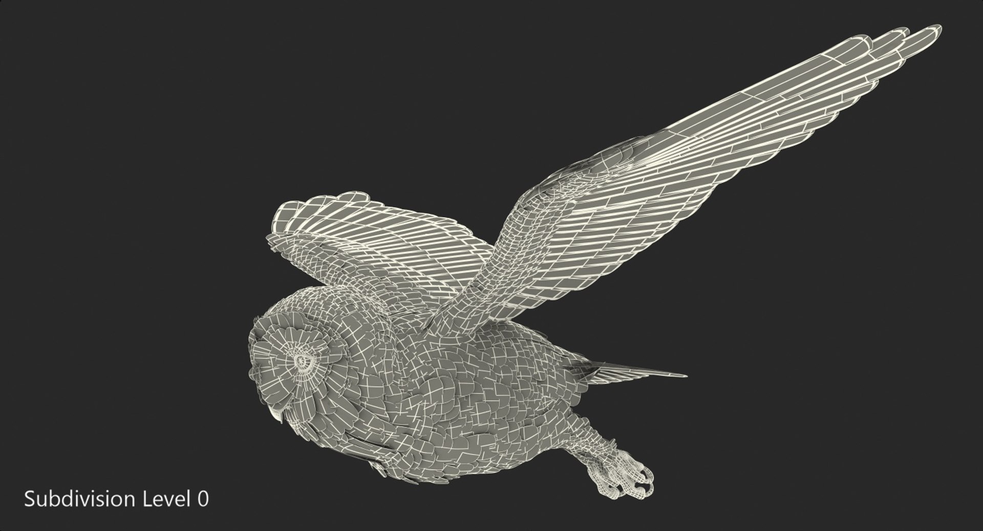 Barn owl rigged model - TurboSquid 1432231