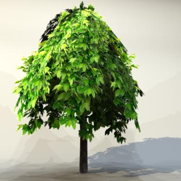 3d pc tree model