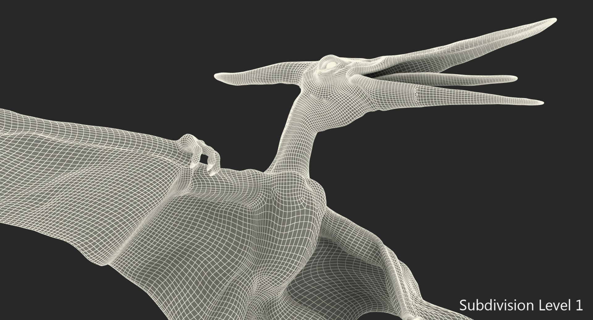 Pterosaur Pteranodon White Standing Model - TurboSquid 1386664