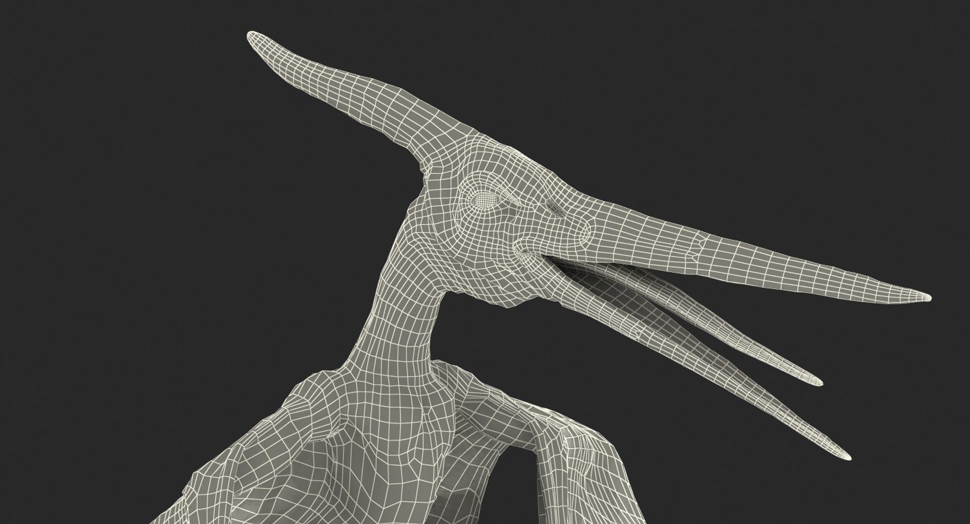 Pterosaur Pteranodon White Standing Model - TurboSquid 1386664