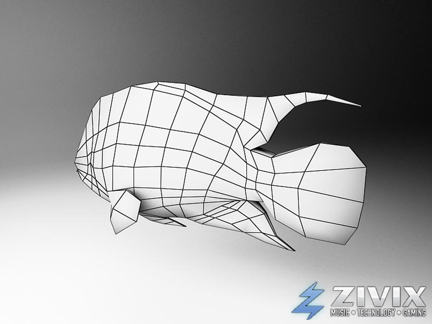 free tropical fish pack 3d model