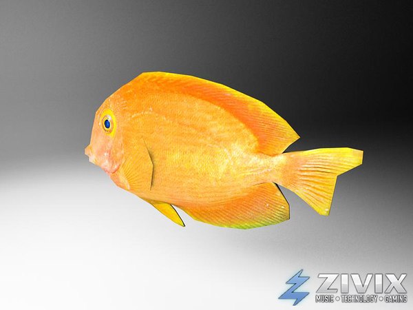 free tropical fish pack 3d model
