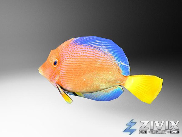 free tropical fish pack 3d model