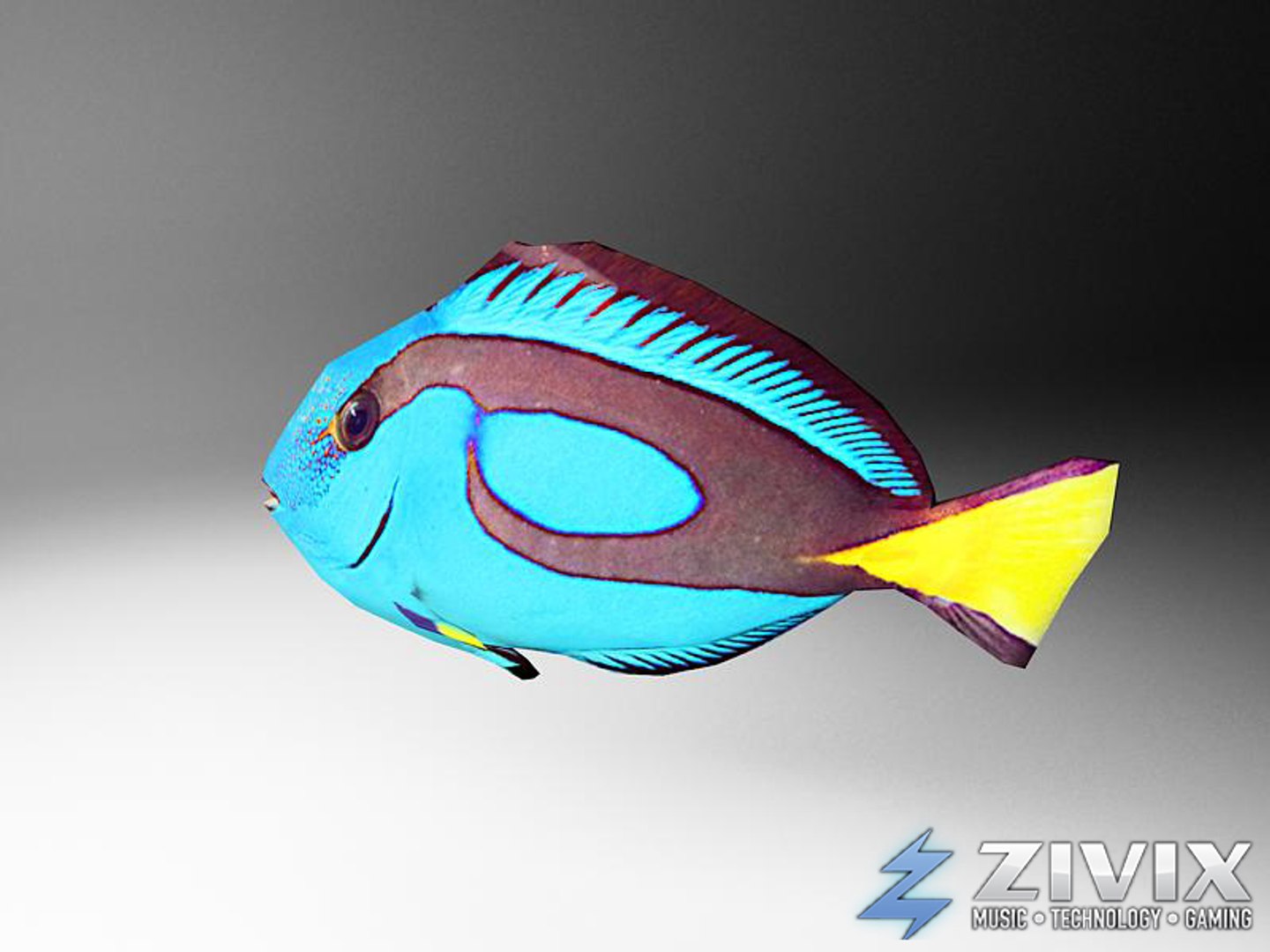 free tropical fish pack 3d model