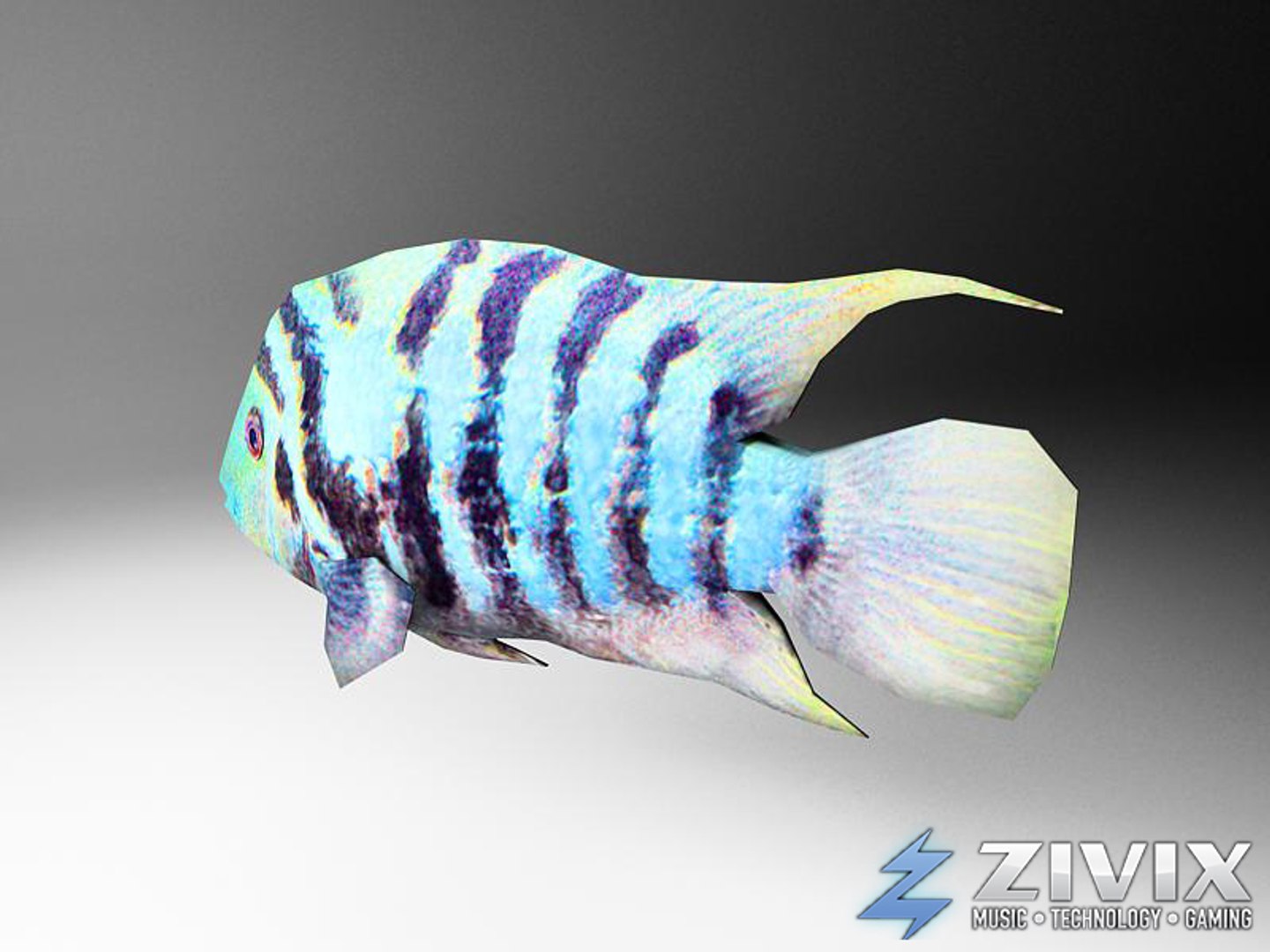 free tropical fish pack 3d model