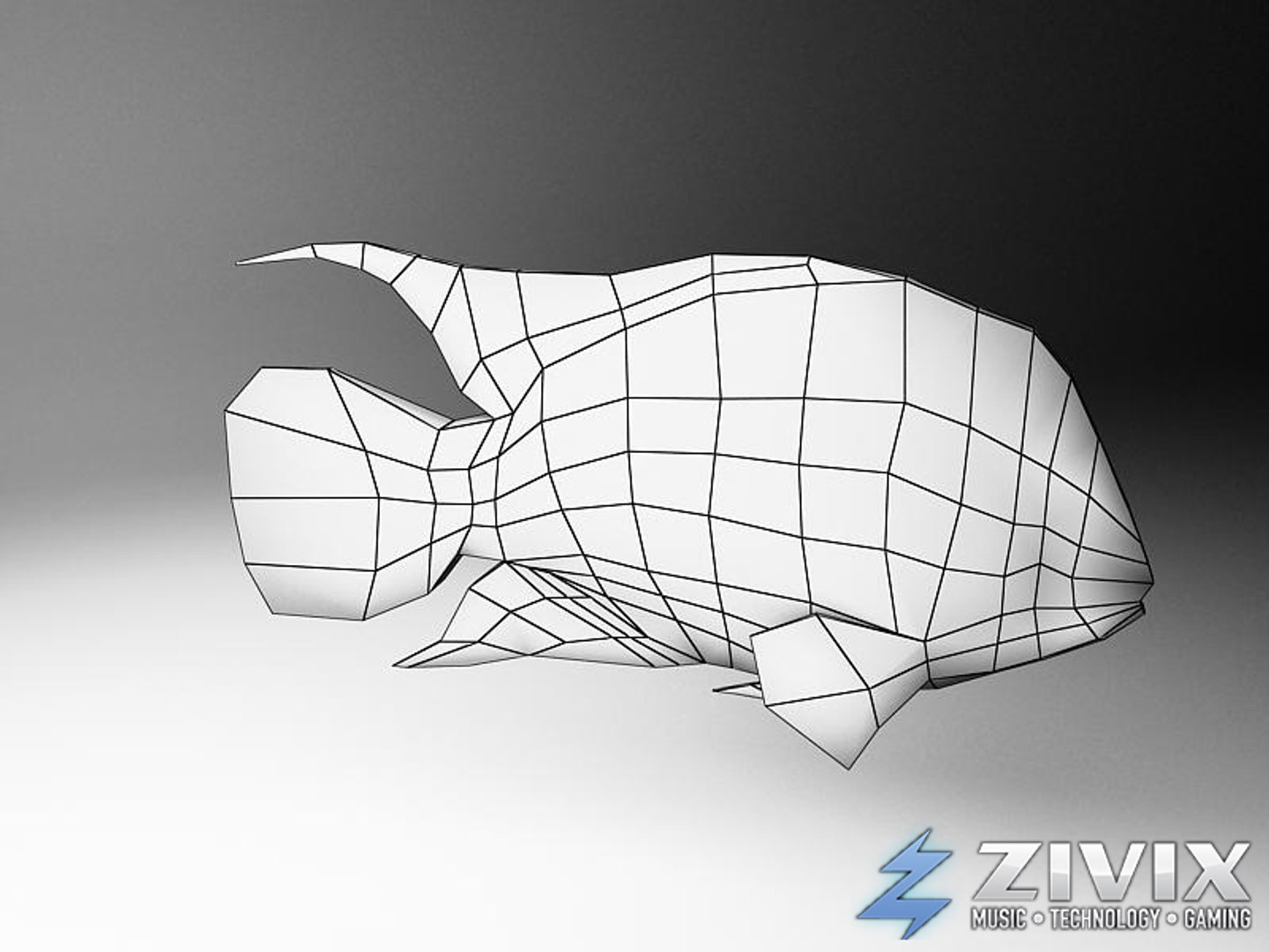 free tropical fish pack 3d model