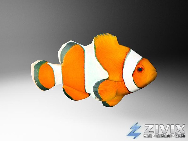 free tropical fish pack 3d model
