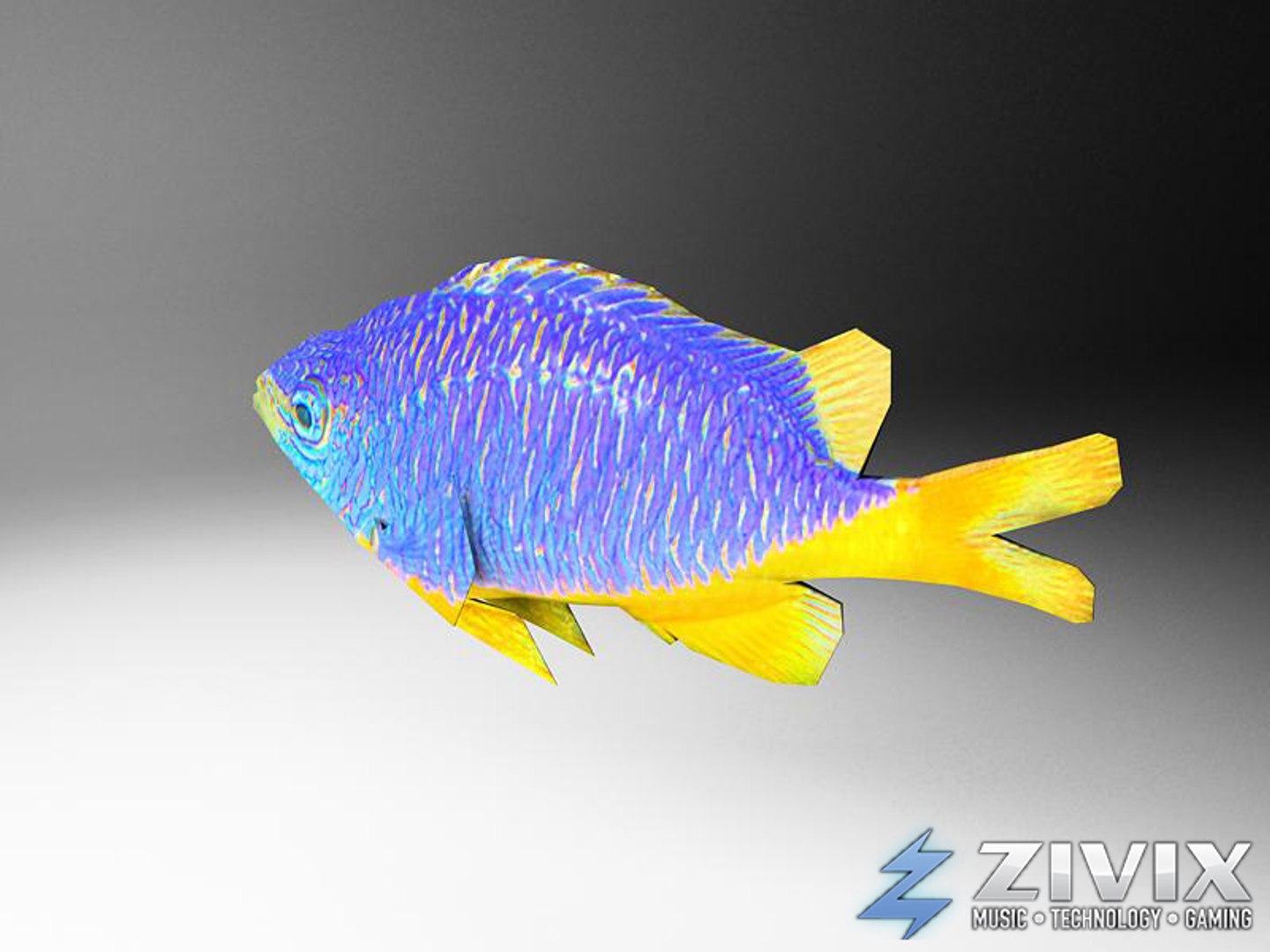 free tropical fish pack 3d model