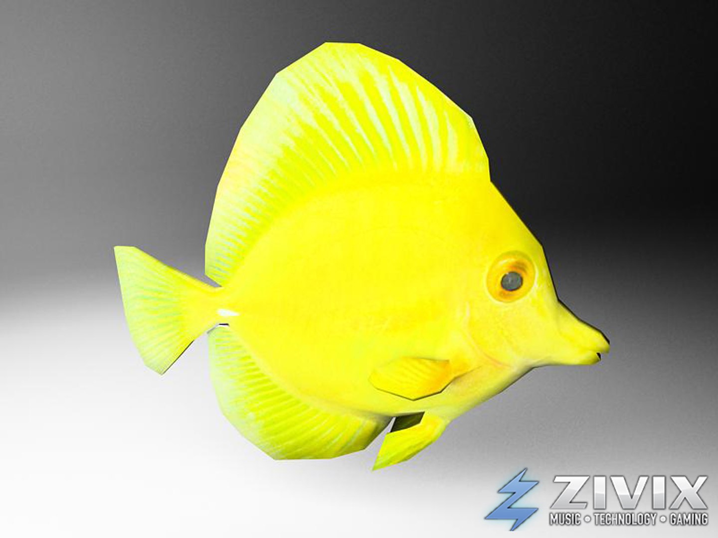 free tropical fish pack 3d model