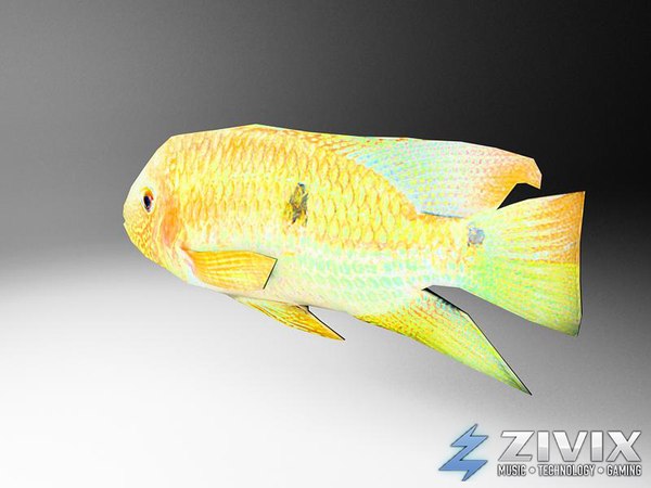 free tropical fish pack 3d model