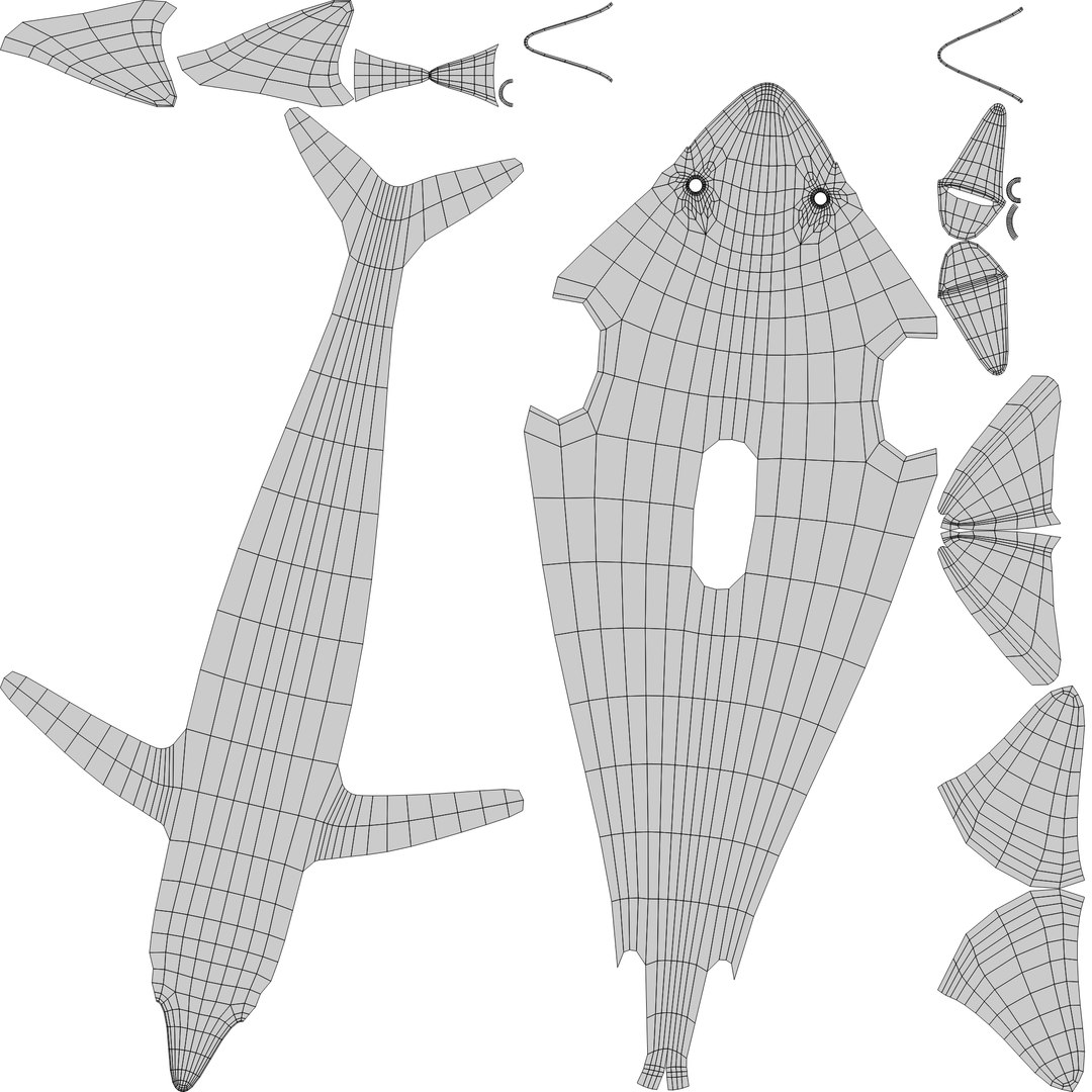 Cartoon Dolphin Model - TurboSquid 1953415